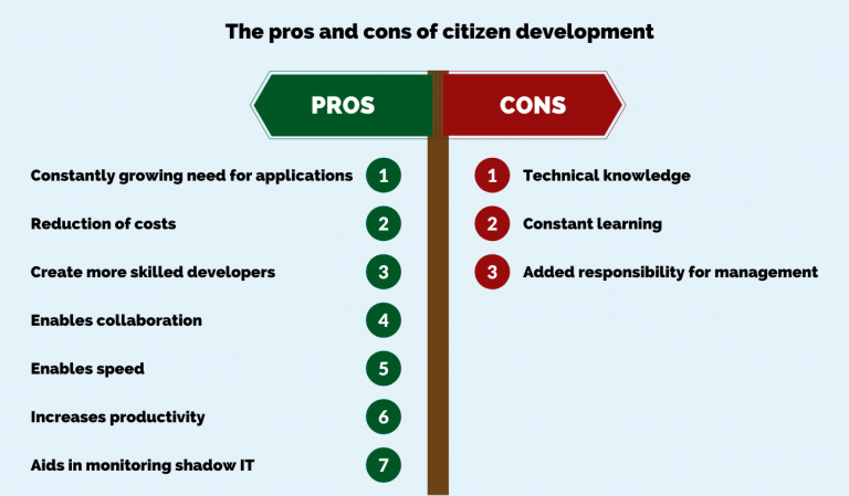 Citizen Developer vs. Professional Developer : 10 Key Differences | Quixy