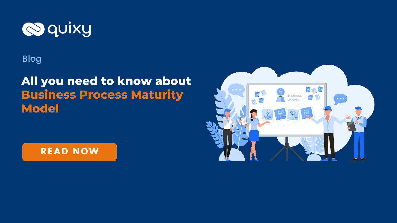 Ultimate Guide to Business Process Maturity Model